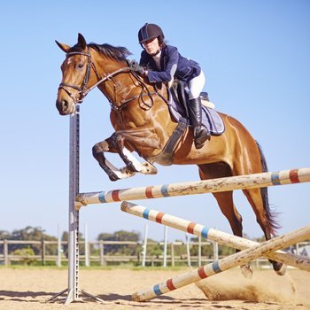 Looking for a livery stable? Contact Blue Bell Liveries