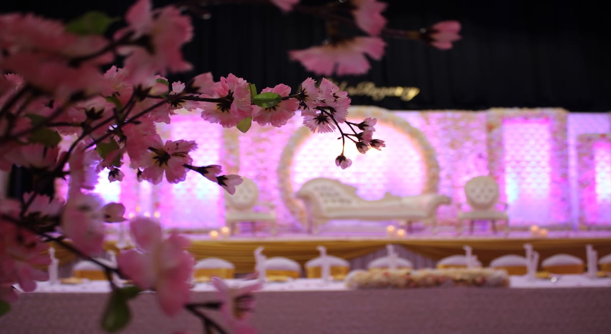 HOME [royal-regency.co.uk]