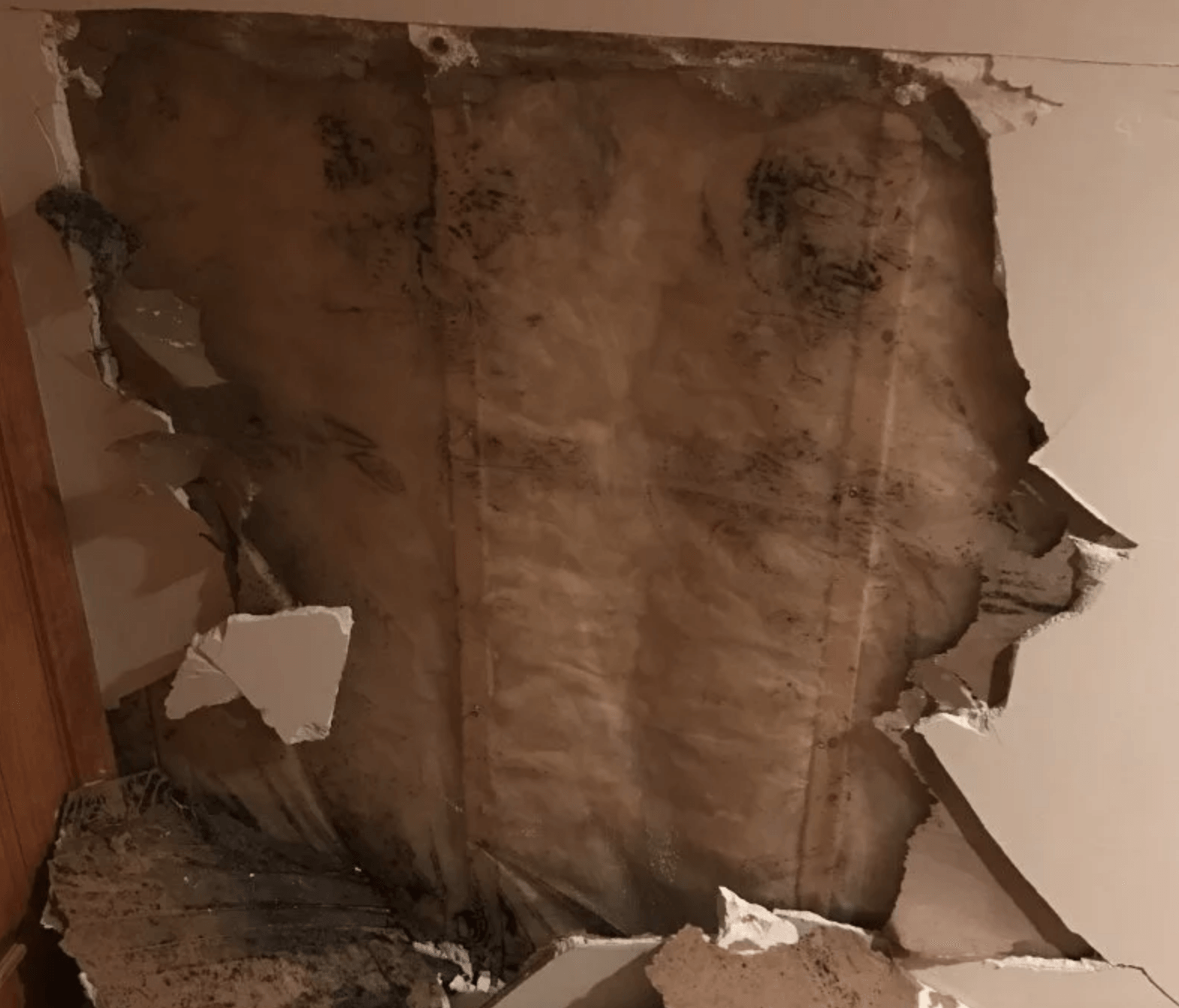 Mold Removal and Mold Remediation | Advanced Basement Waterproofing