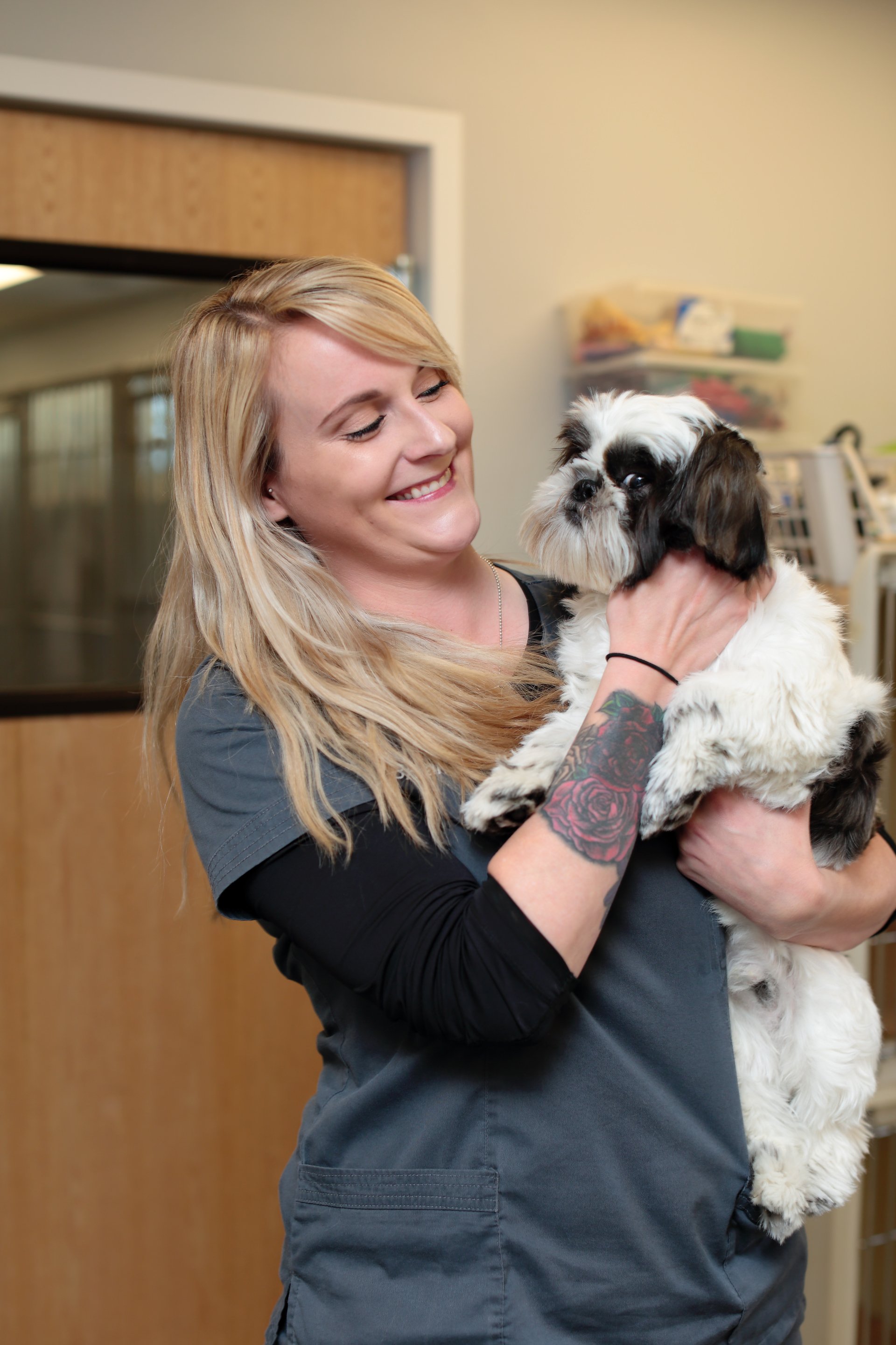 Photo Gallery | Clearview Veterinary Hospital