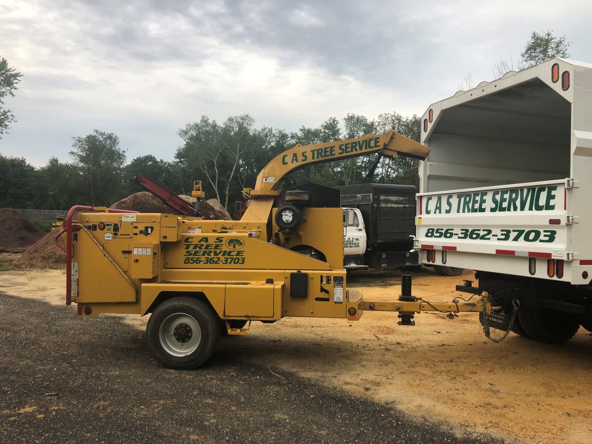 Tree Removal Company | Vineland, NJ | CAS Tree Service