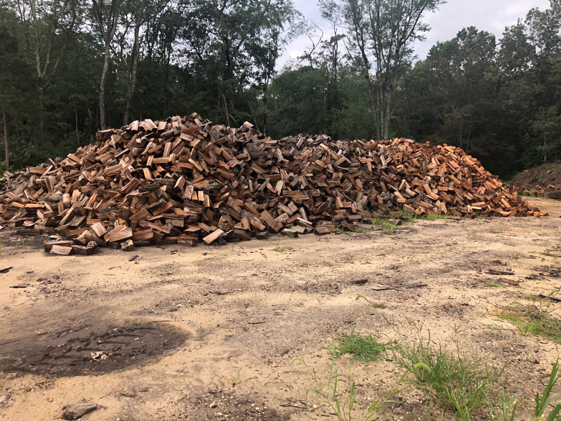 Tree Removal Company | Vineland, NJ | CAS Tree Service