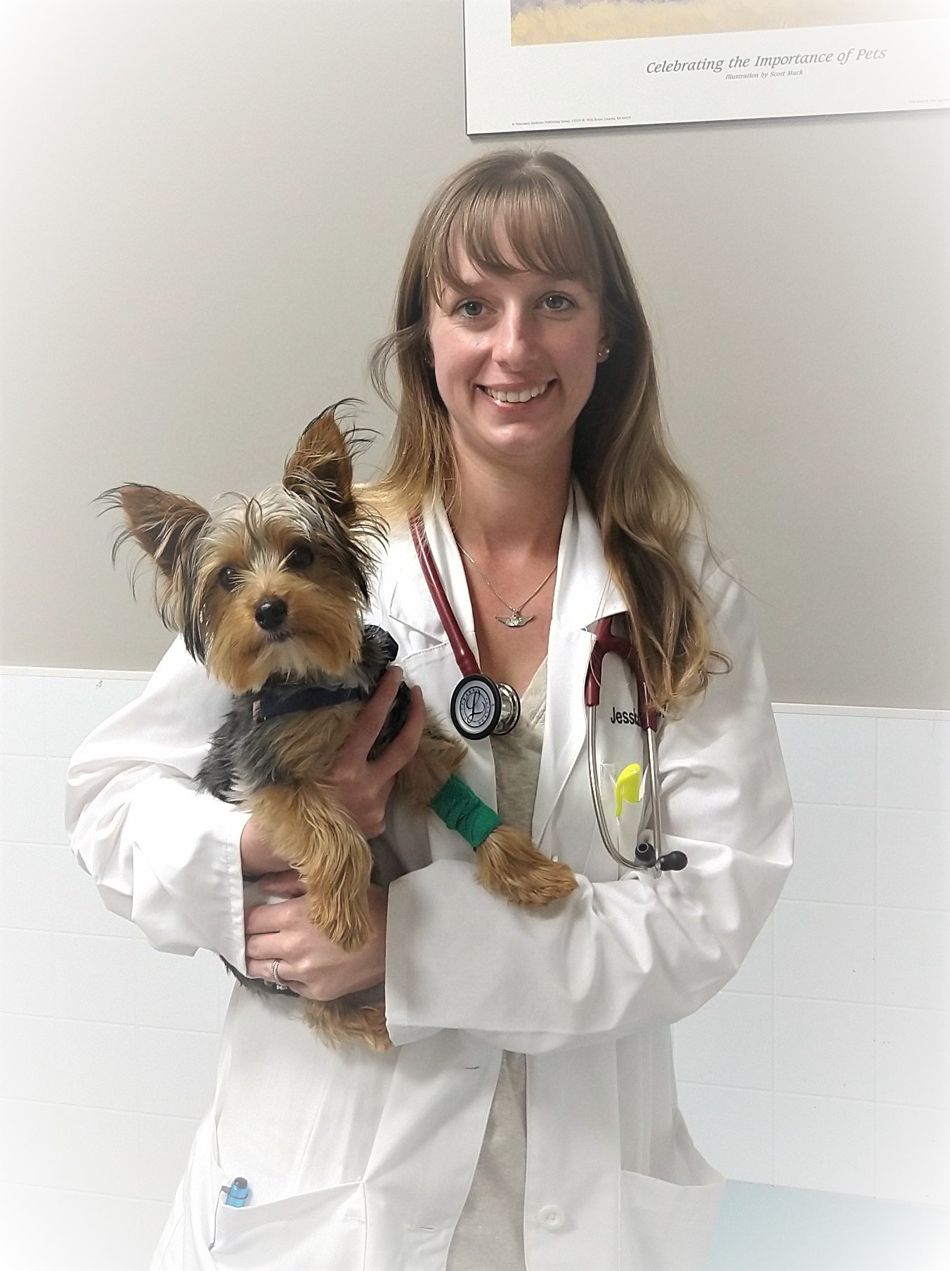 Our Staff | Depew, Lancaster & Cheektowaga, NY | Transit Animal Hospital