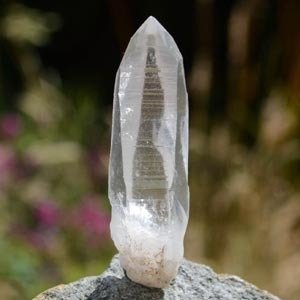 Holistic Healing | Edgar Cayce Cures