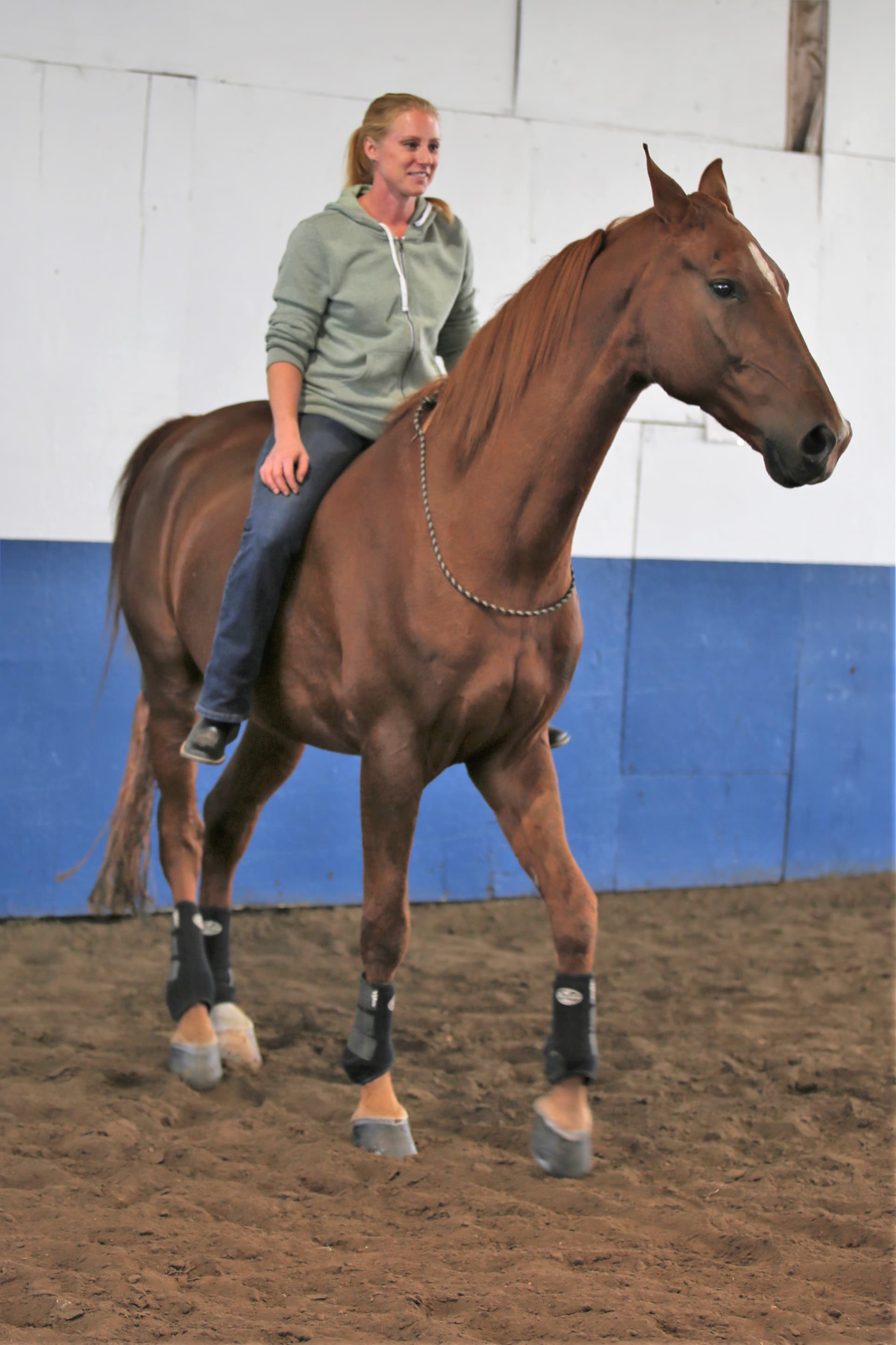 Stride High Stables | About