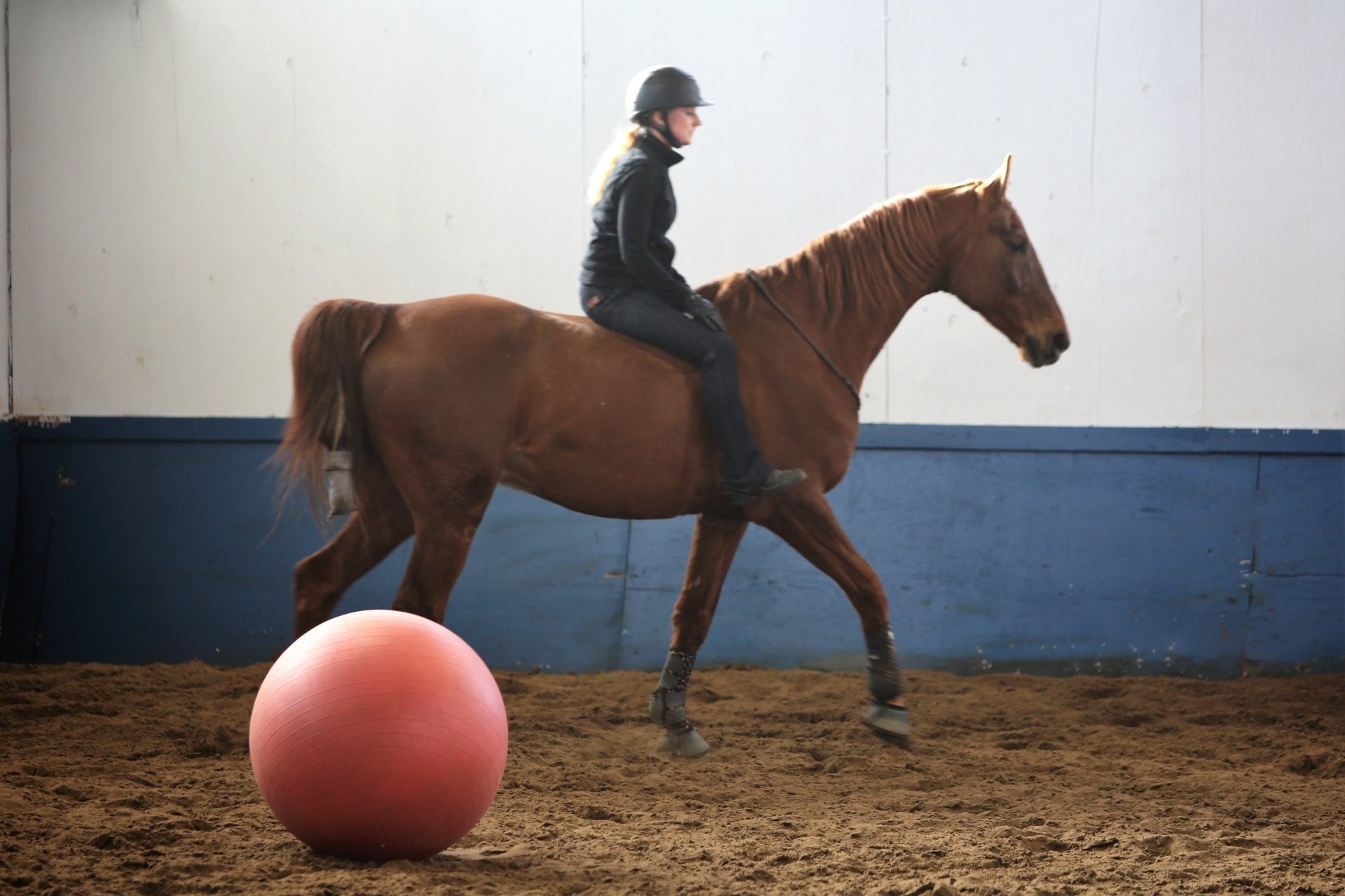 Stride High Stables | Equestrian Stable