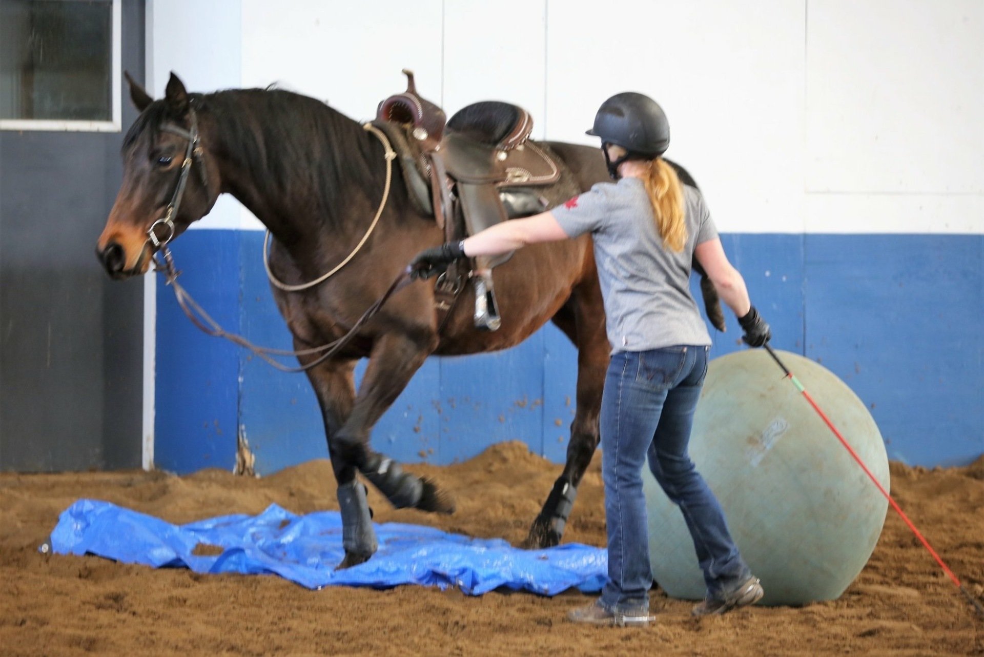 Stride High Stables | Equestrian Stable