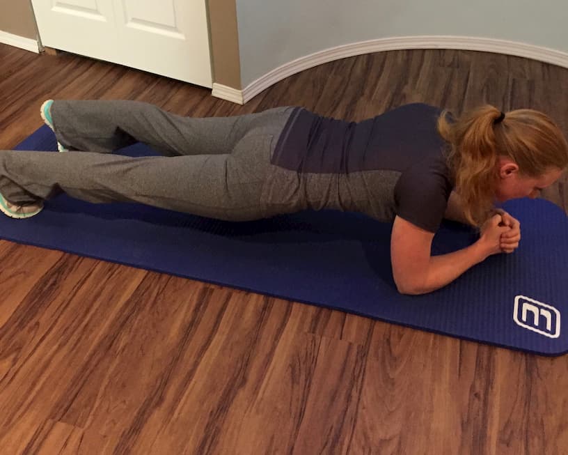 Stride High Stables | Equestrian Stable