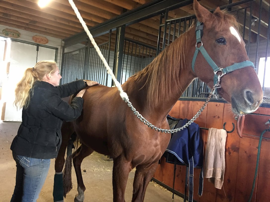 Stride High Stables | Equestrian Stable