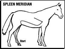 Stride High Stables | Equestrian Stable