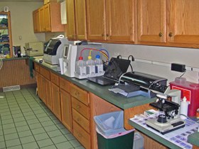Vet Clinic & Hospital Tour | Community Animal Clinic | East Liverpool Ohio
