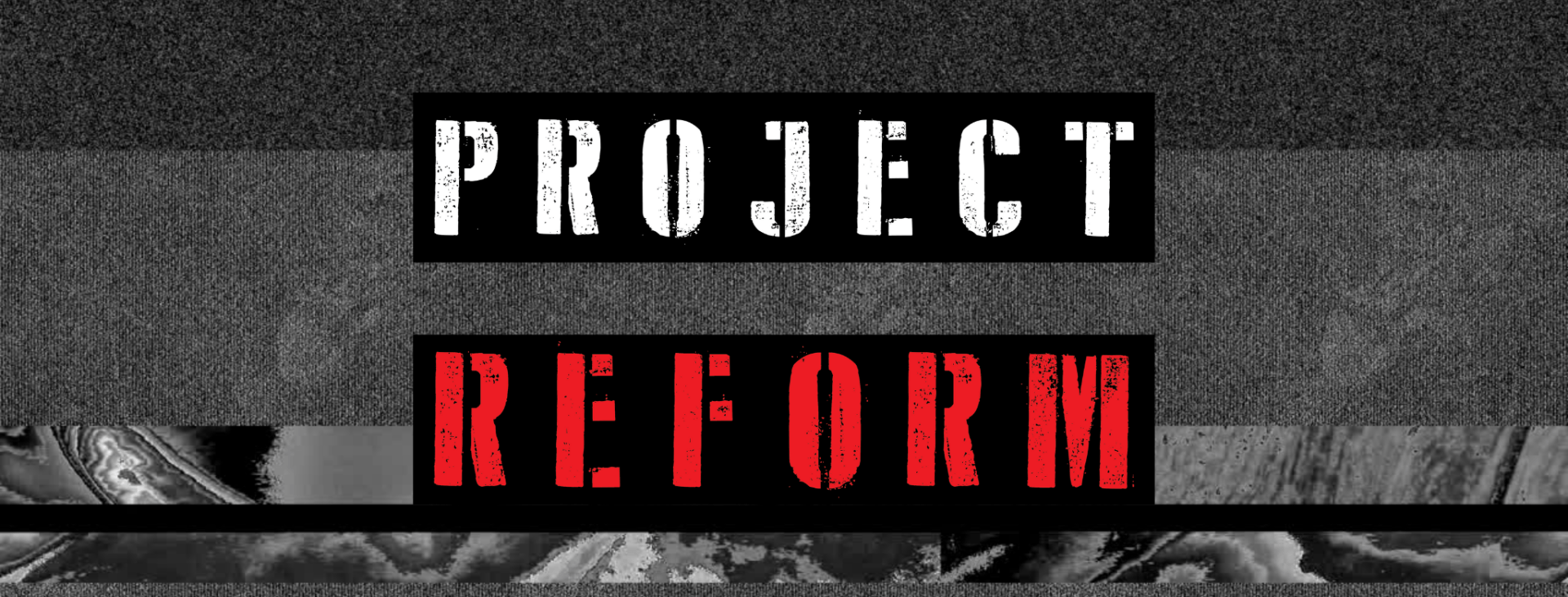 A Look Back At BusySeed's 2020