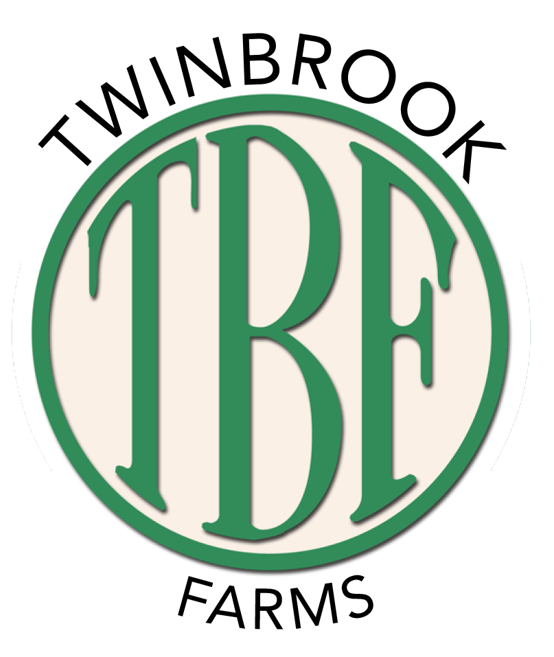 patchwork design website and brand designer