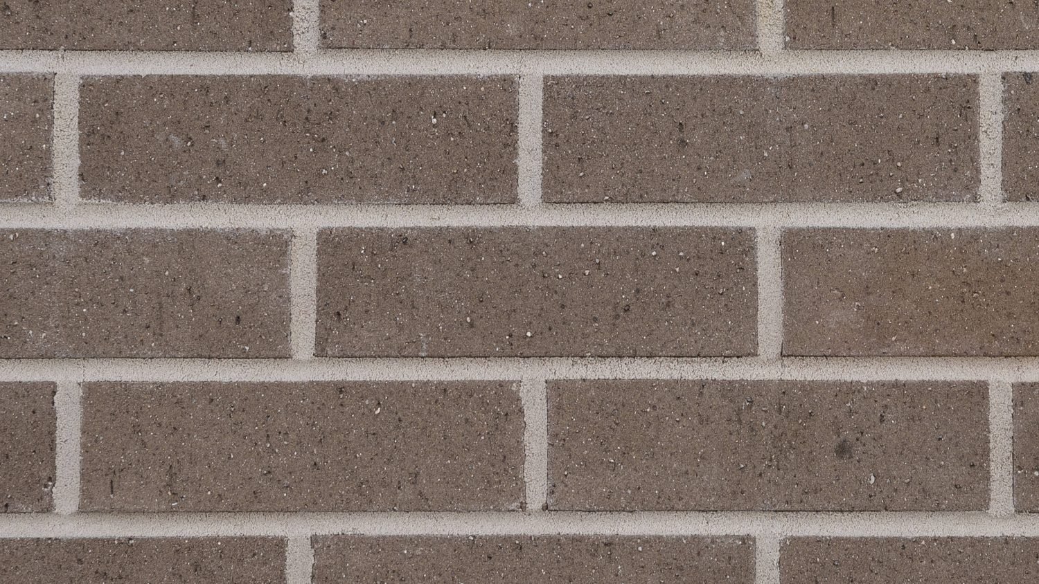 .75 Greystone Wirecut | Palmetto Brick