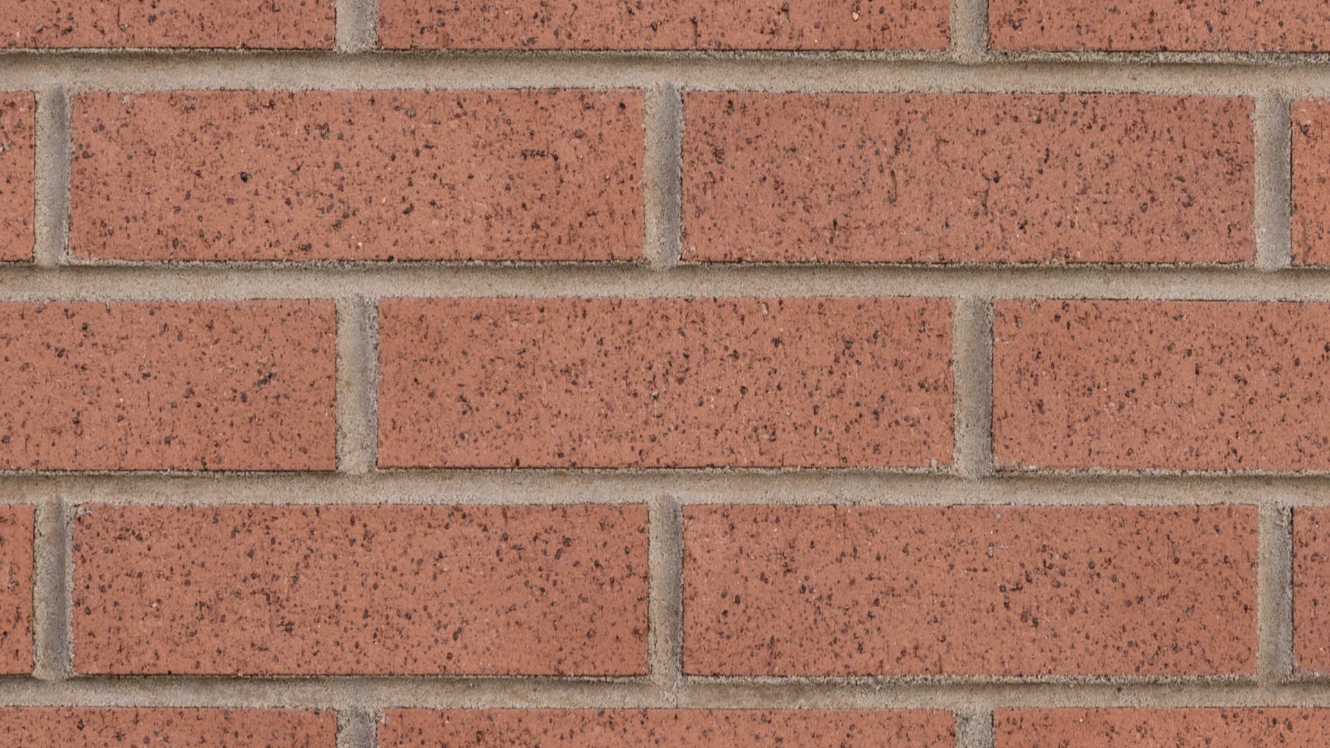 Light Rose Wirecut | Palmetto Brick