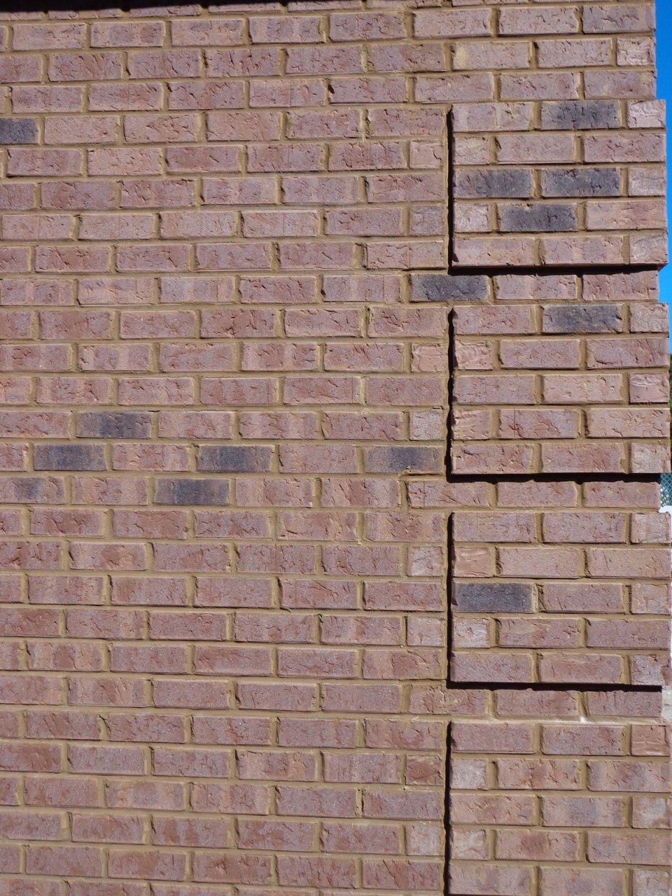Low Country Blend | Palmetto Brick