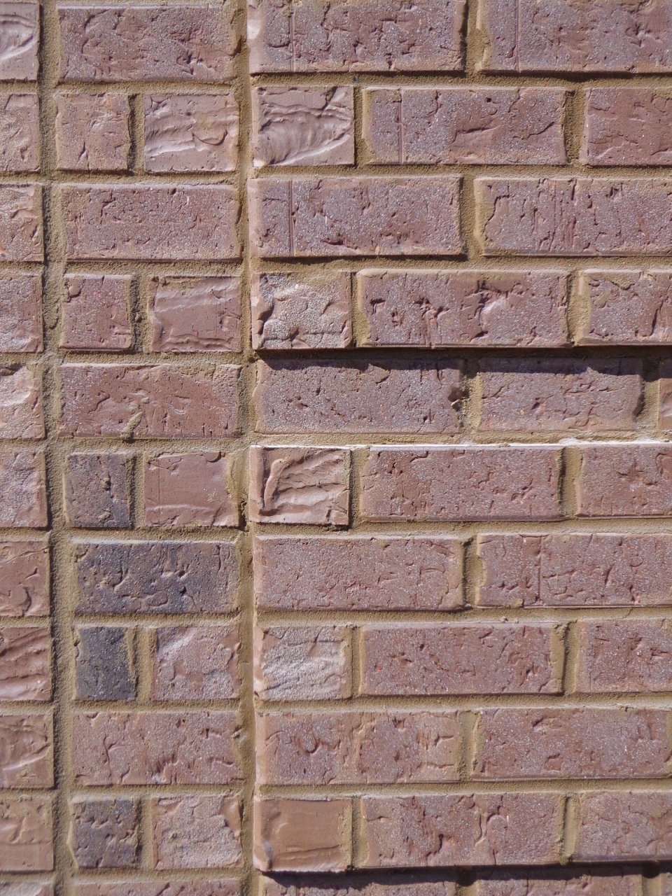 Low Country Blend | Palmetto Brick