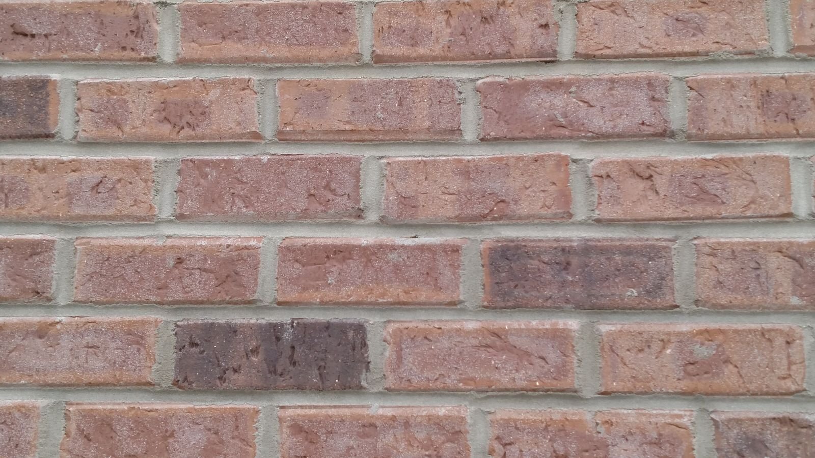 Low Country Blend | Palmetto Brick