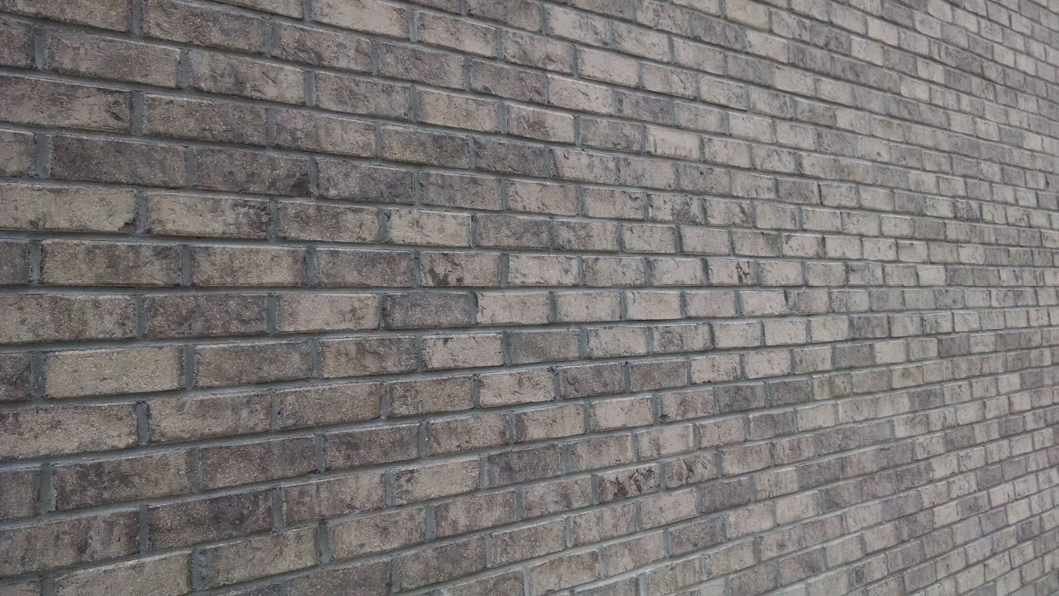 Onslow | Palmetto Brick