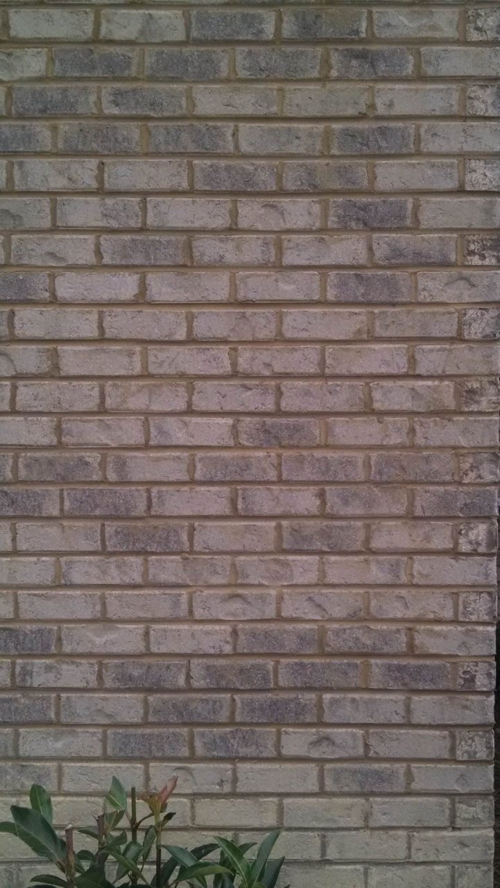 Onslow | Palmetto Brick