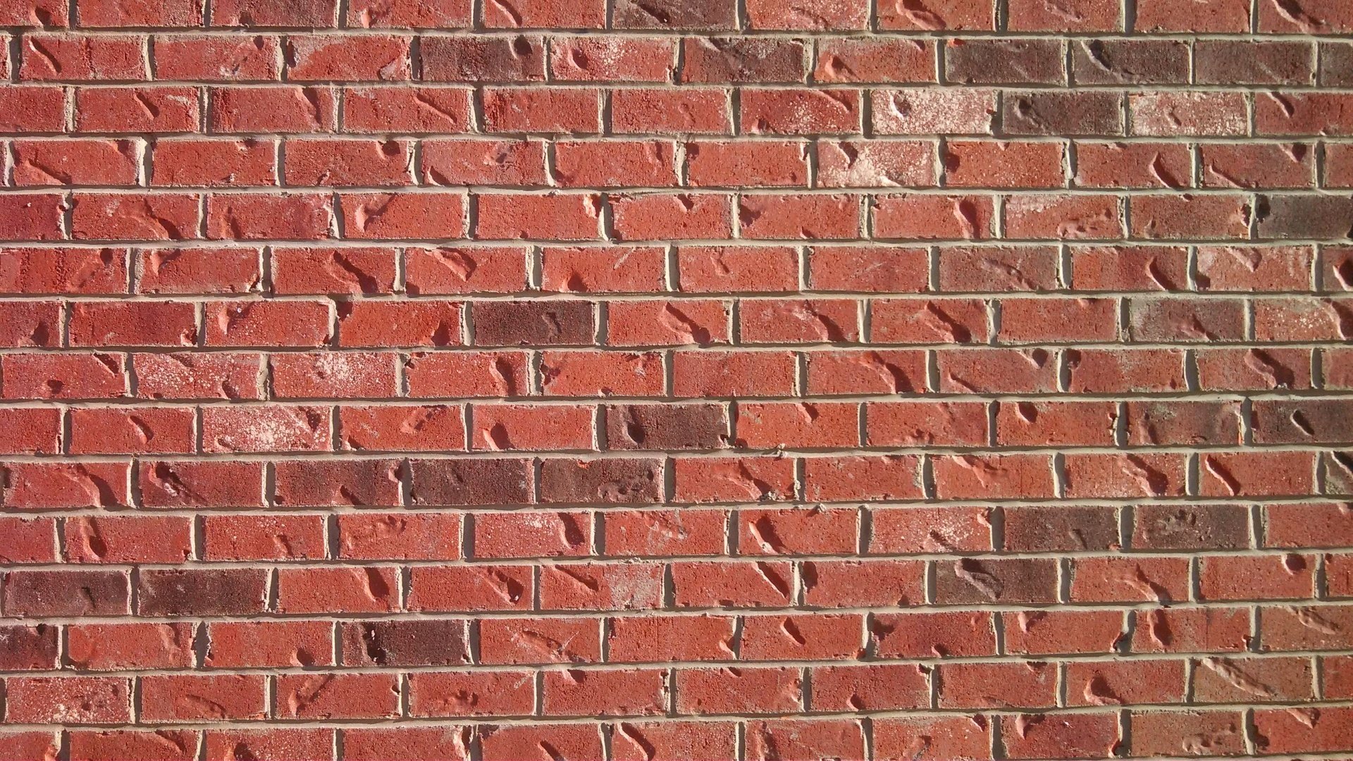 Terra Blend | Palmetto Brick