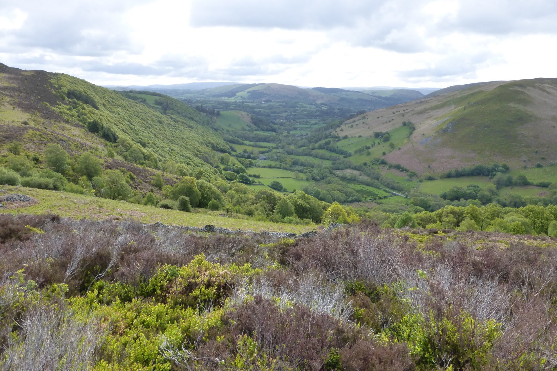 Home [www.wildlifecottagewales.co.uk]