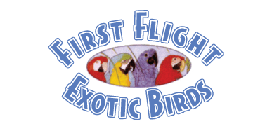 Home [www.firstflightsexoticbirds.com]