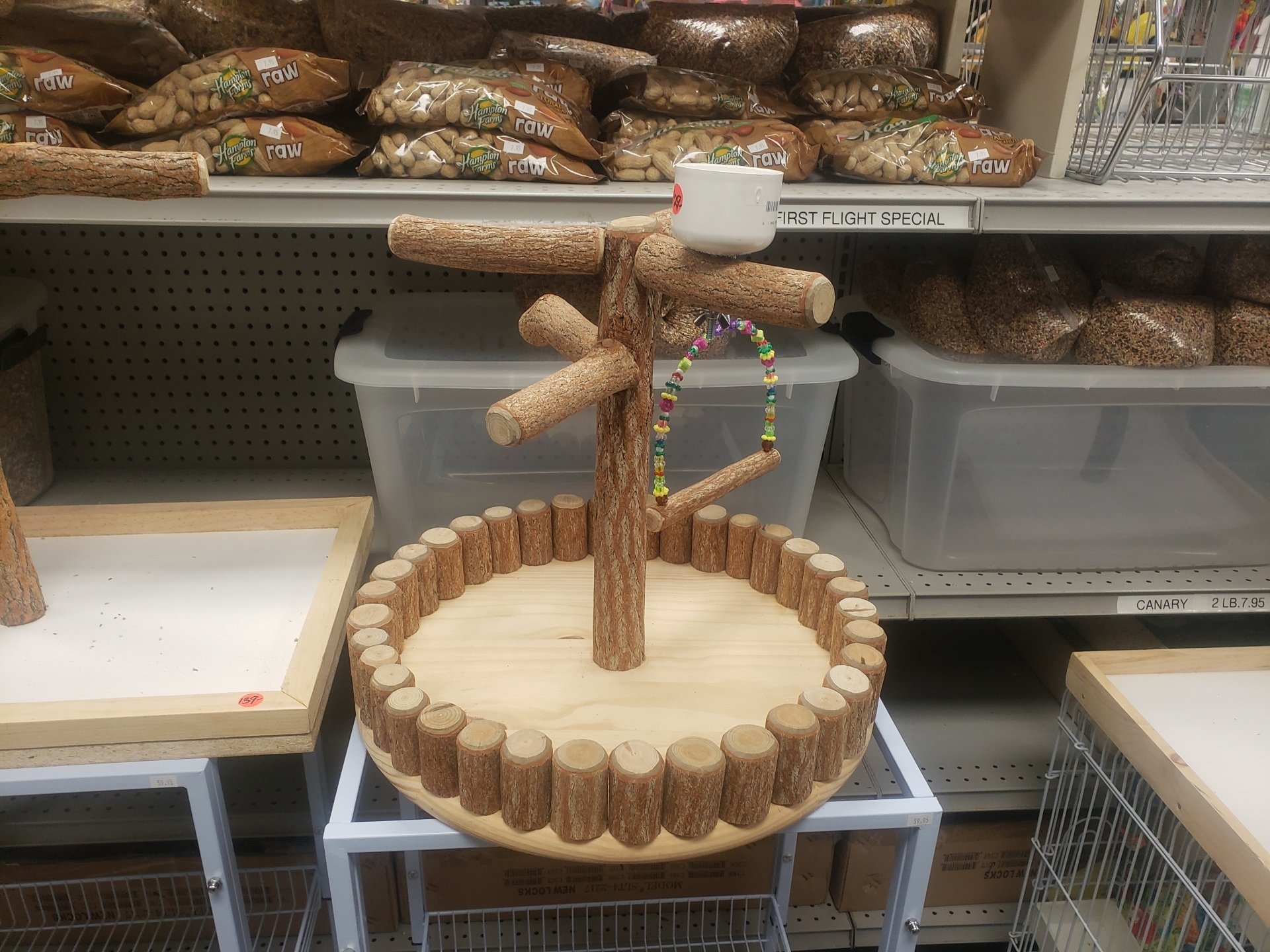 Home [www.firstflightsexoticbirds.com]