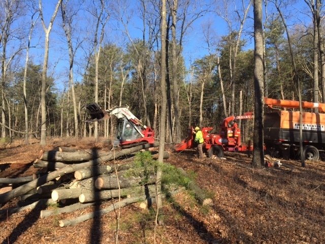 Lot Clearing l Glen Burnie, MD l RJO Services LLC