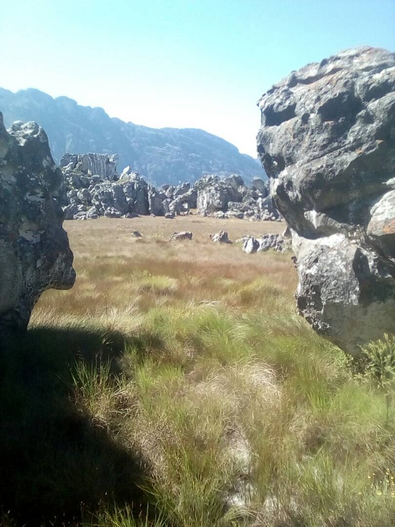 Chimanimani Tour Guide | Hiking Trips