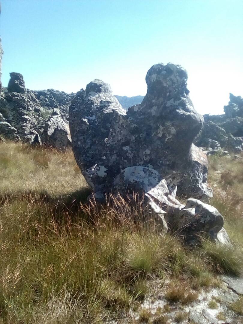 Chimanimani Tour Guide | Hiking Trips