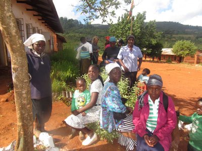 Chimanimani Tour Guide | Cultural And Village Tours