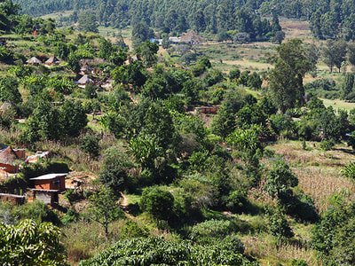 Chimanimani Tour Guide - Zimbabwe