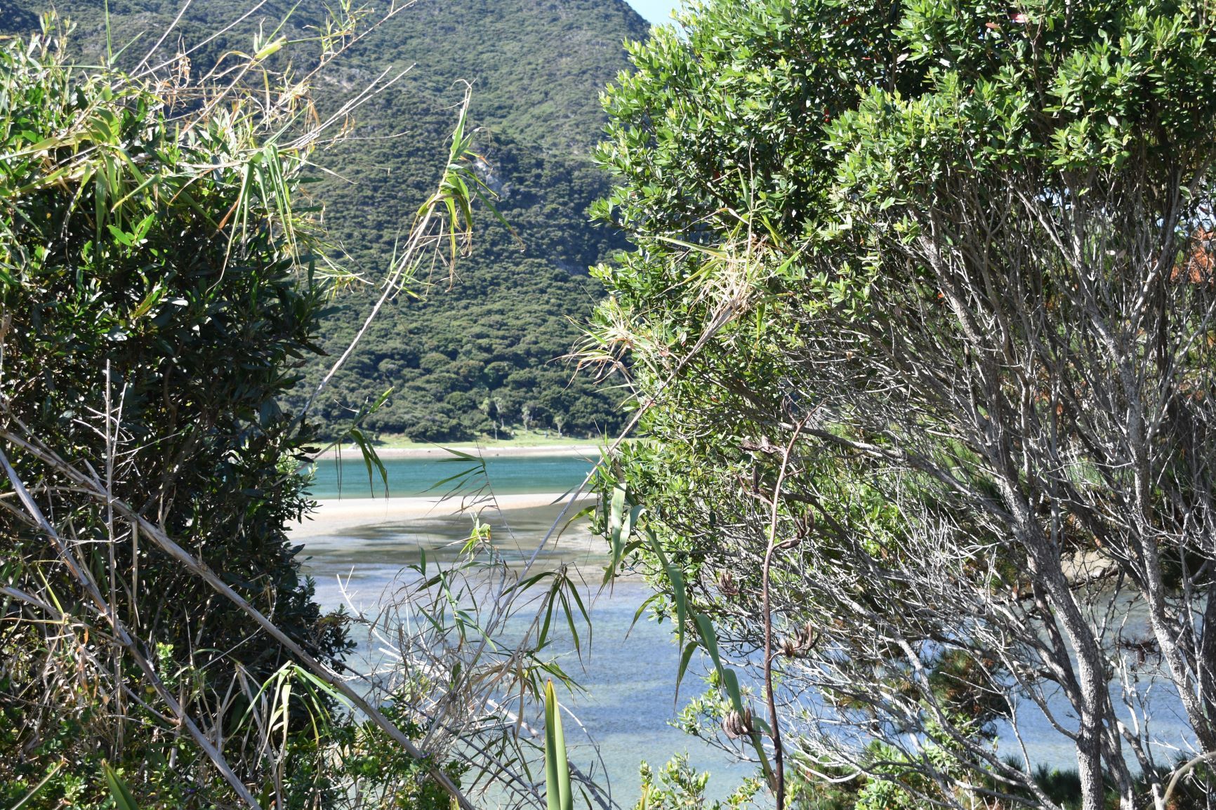 Houhora Heads