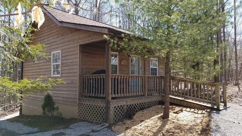 Cabin Availability