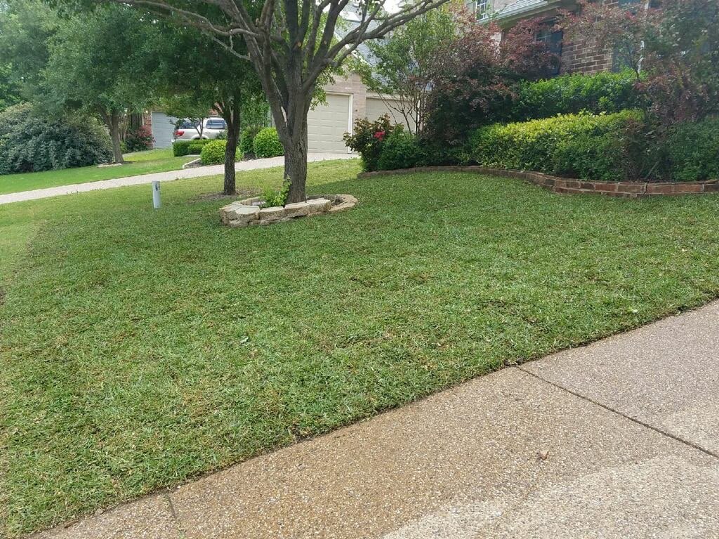 Grass Sodding - North Texas - Installation - Free Estimate