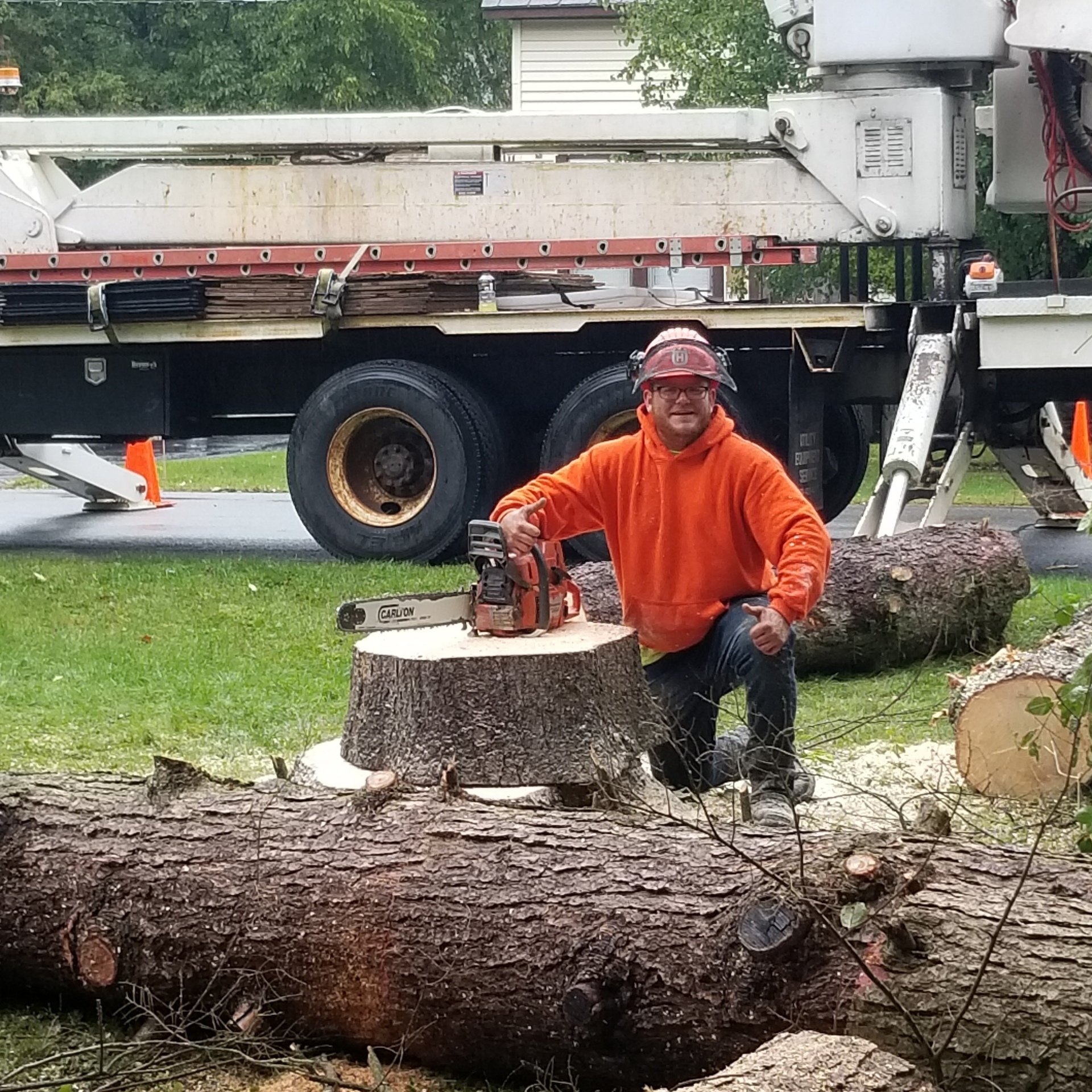 Tree Removal, Tree Trimming, Stump Removal Clifton Park, NY - Clear ...