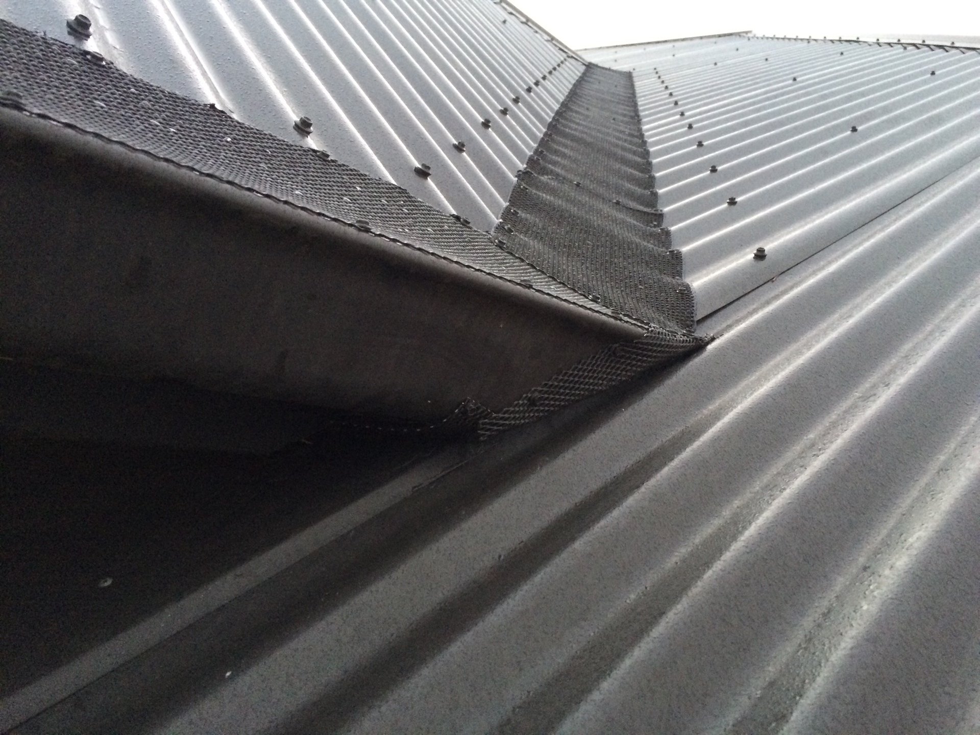 Gutter Solutionz | Photo Gallery | See examples of our work