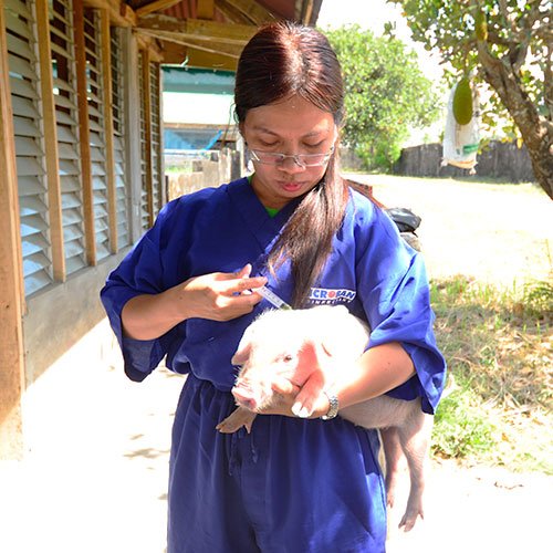 International Training Center on Pig Husbandry