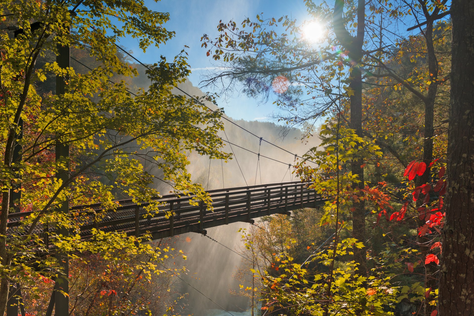Fall in Georgia