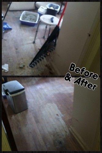 Before & After Gallery