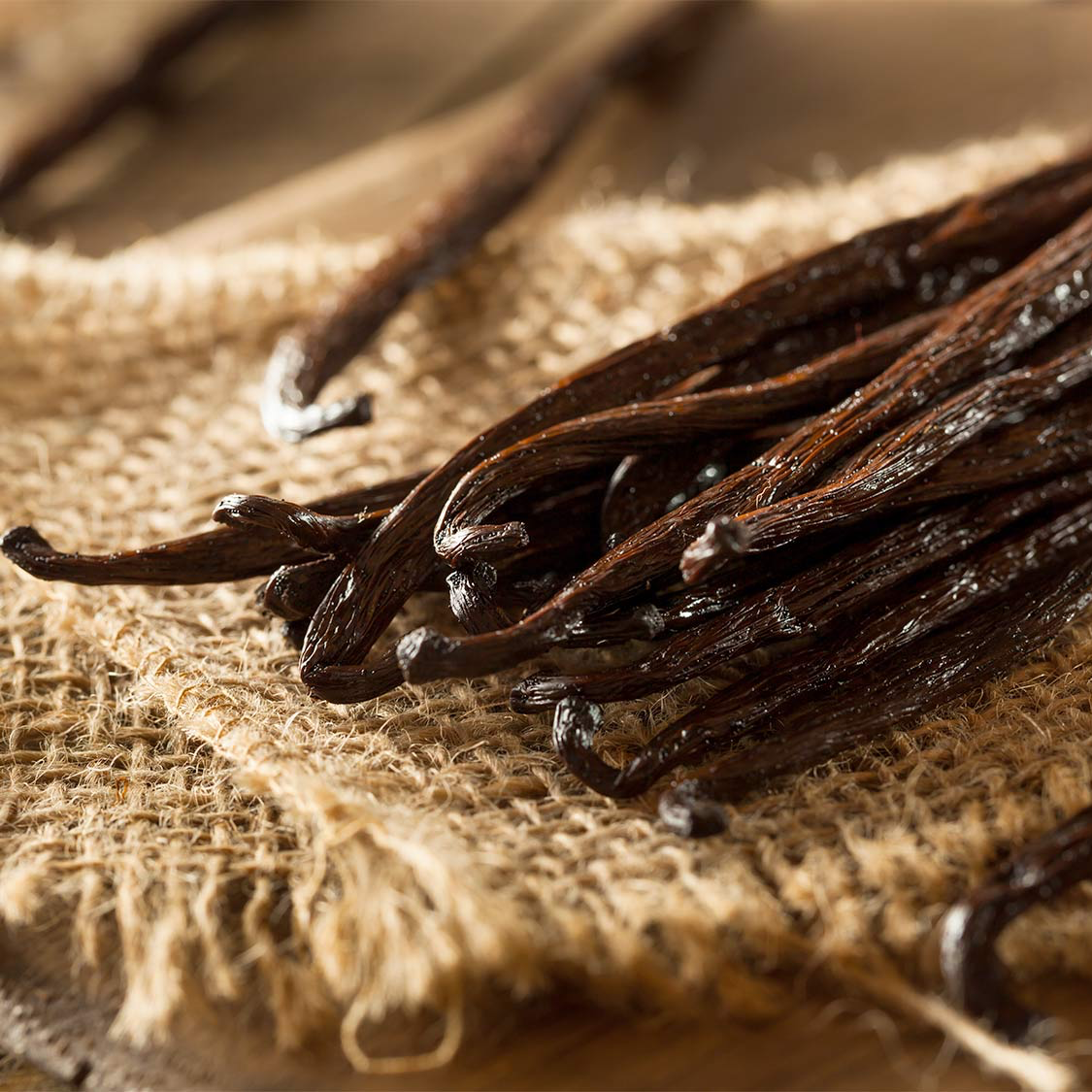 Sunshine State Vanilla | Growing Vanilla in Florida