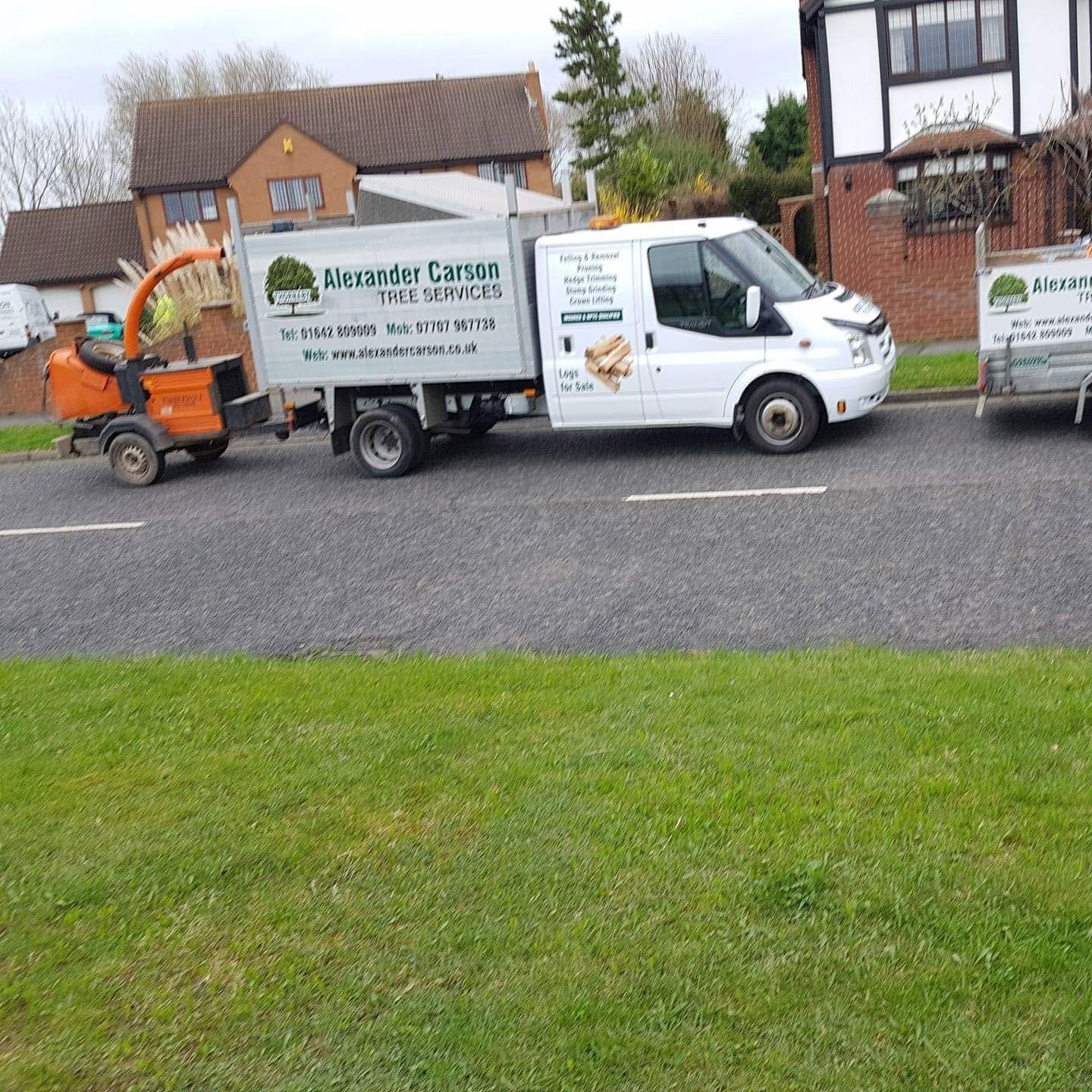 Qualified tree surgeons | Alexander Carson Tree & Garden Services