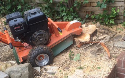 Stump grinding | Alexander Carson Tree & Garden Services