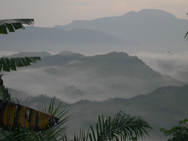 Global Eye Mission | Asia | World Mission Prayer League