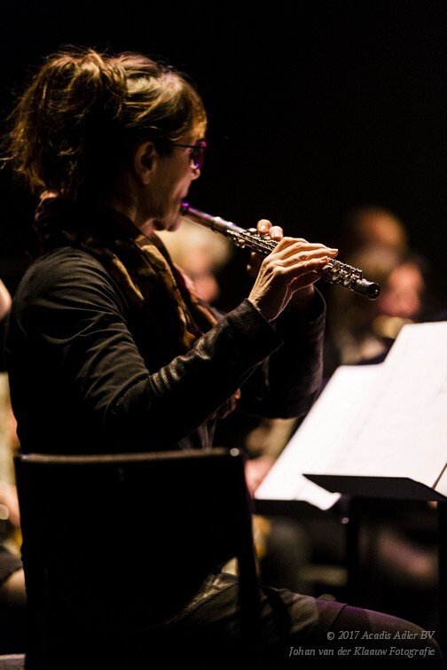 Stichting Noord Nederlands Fluit Collectief