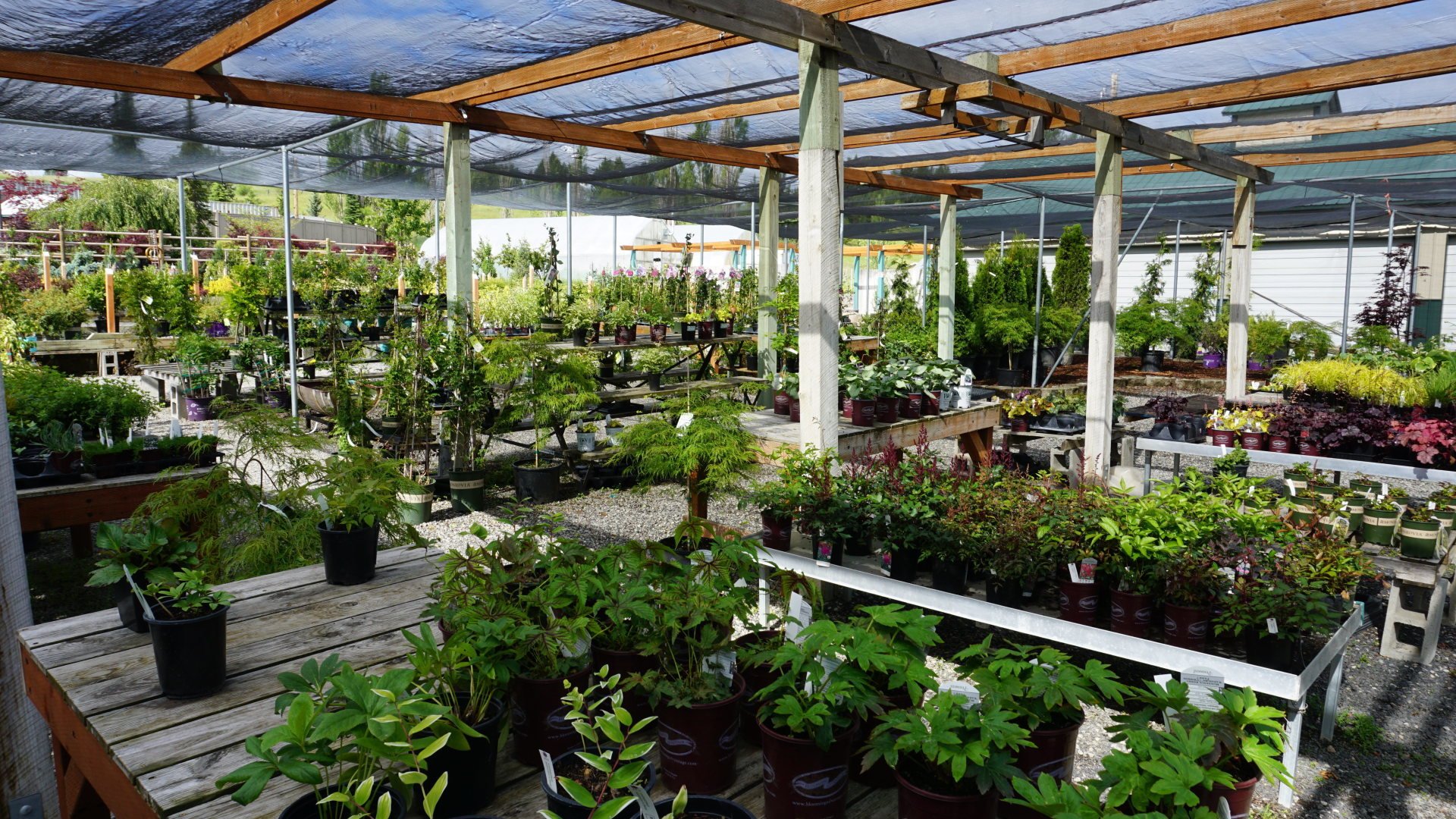 Spokane WA - Smart Gardens Nursery Greenhouse