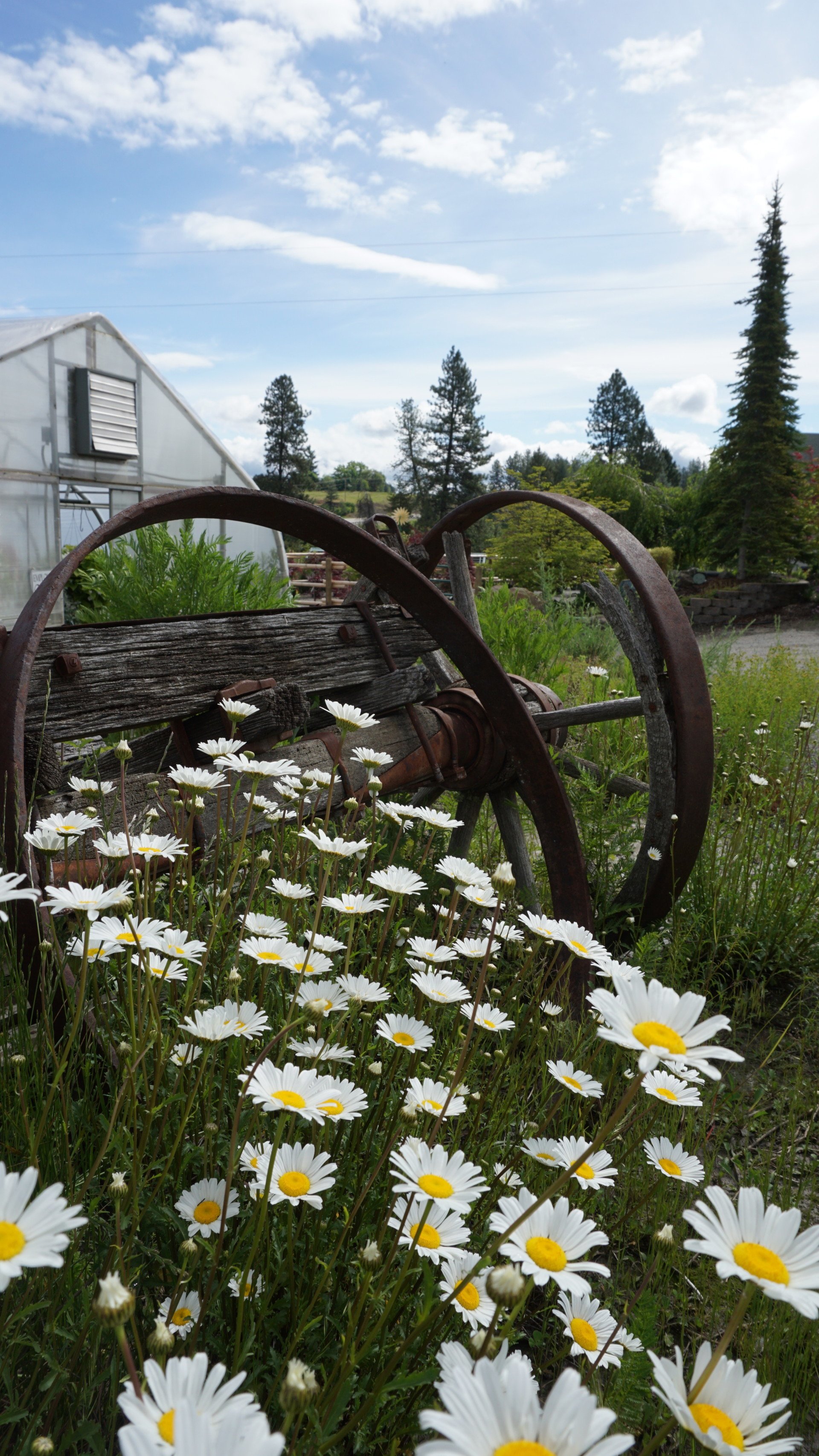 Spokane WA - Smart Gardens Nursery Greenhouse
