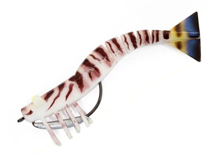 MasterBait - Darwin | For All Your Fishing Supplies