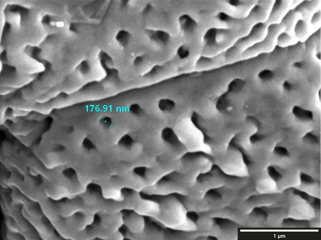 High resolution electron microscopes with x ray, and microtomography